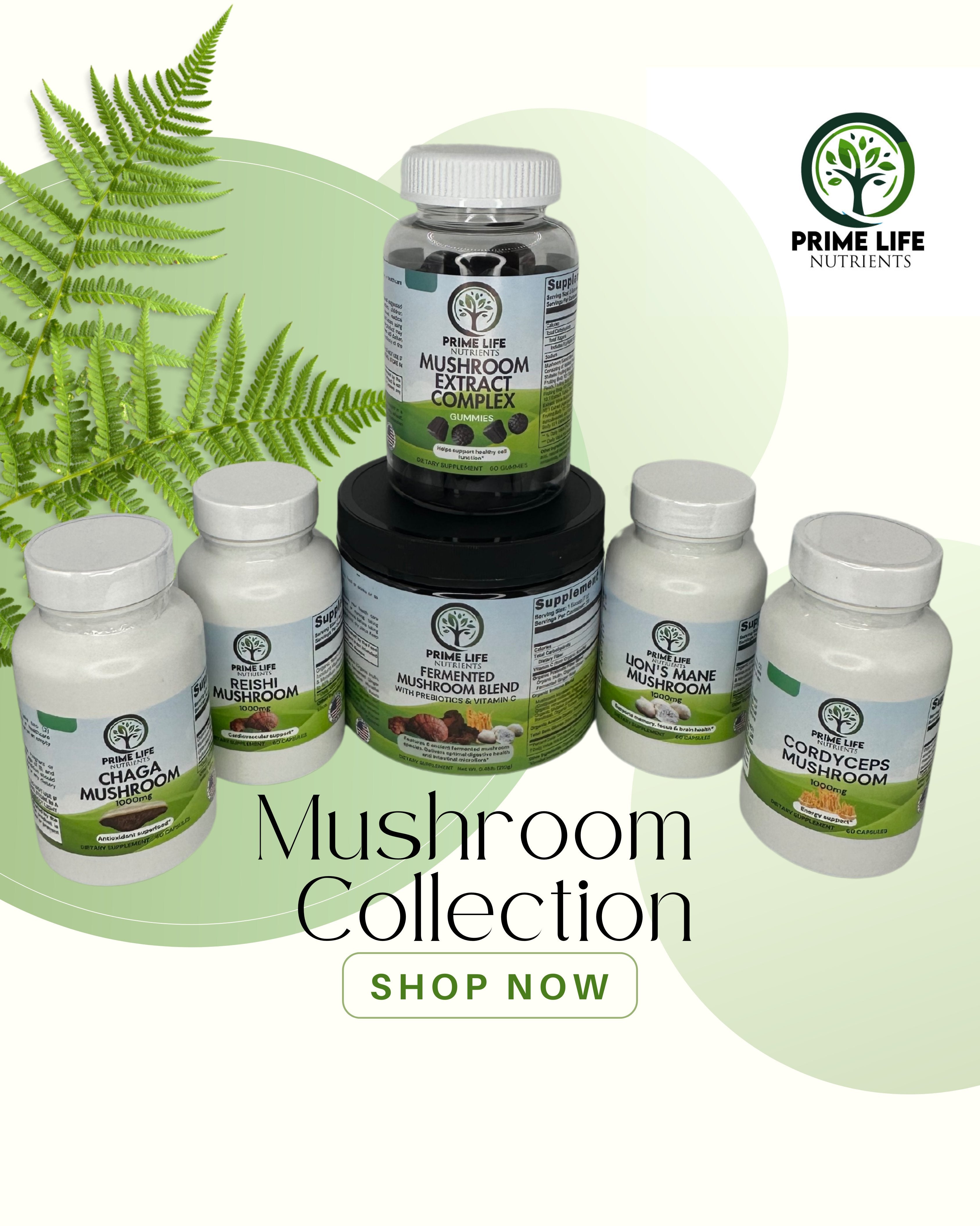 Mushroom Collection – Prime Life Nutrients